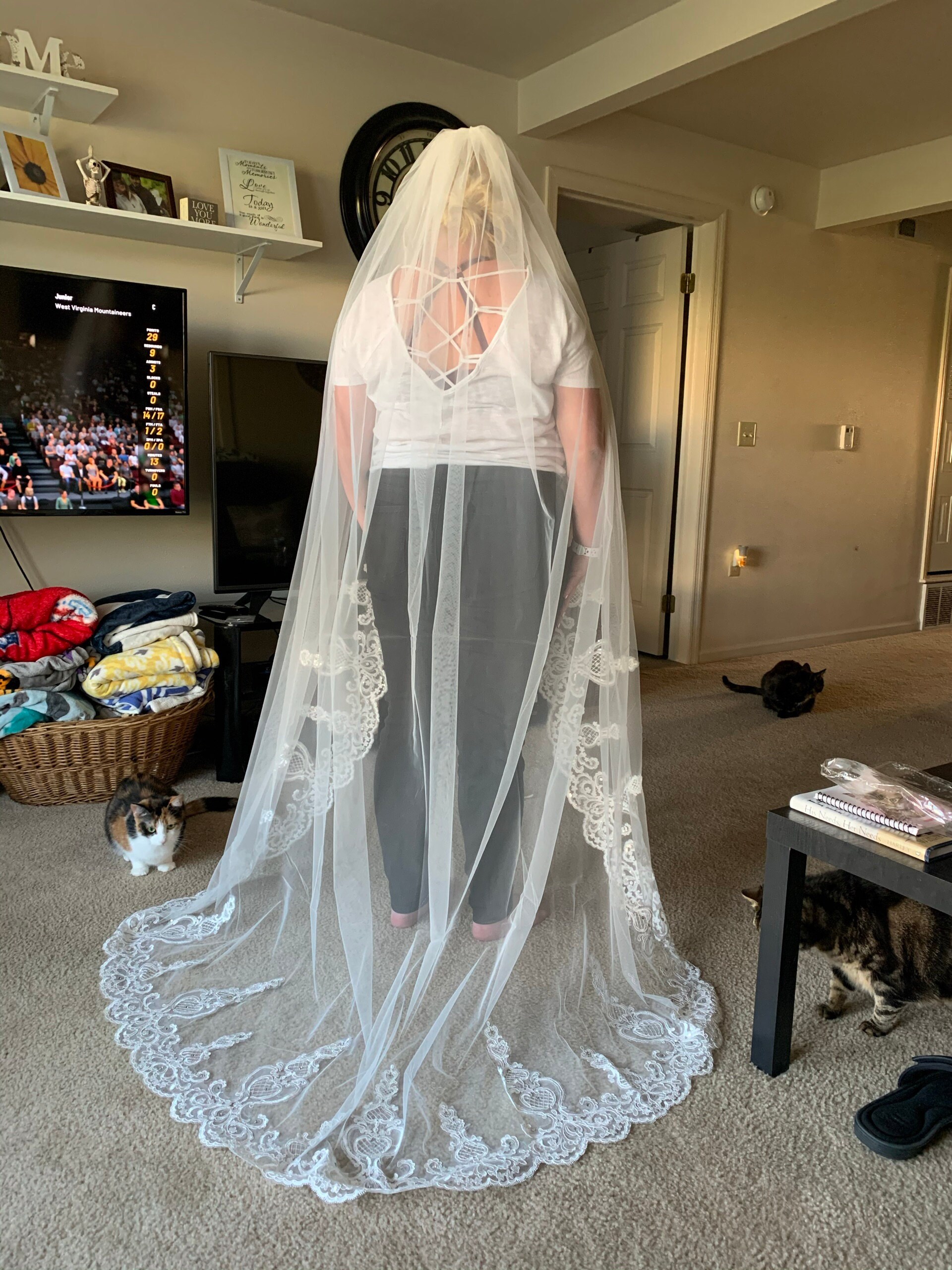 118 Inches Chapel Length Lace Edge Wedding Veil Cathedral Lace | Etsy