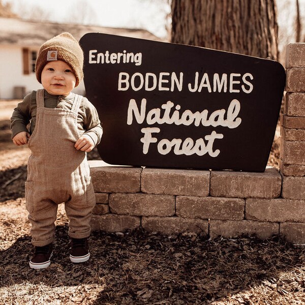 FREE SHIPPING, Large Replica White Mountain National Forest Sign, New ...