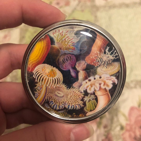 Victorian Sea Creatures Pill Box Case Pillbox Holder Trinket Jellyfish ...