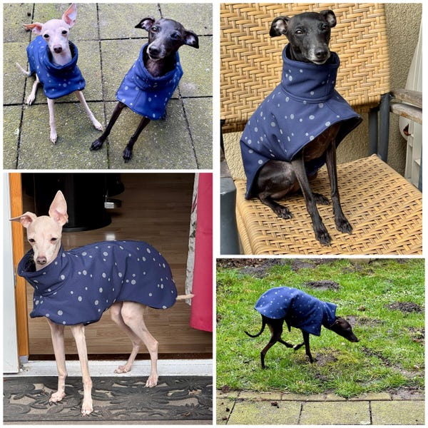 Sewing Pattern for Italian Greyhound Jumper / Fleece / Top / Tshirt - Etsy