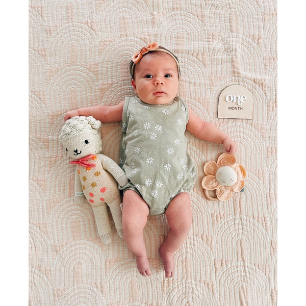 Arched Baby Milestone Markers, Baby Milestone Photo Prop, Wooden ...