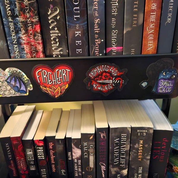 Officially Licensed Sarah J Maas ACOTAR Valkyrie Nothing Can Break Me ...
