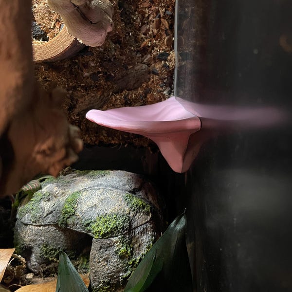 Frog and Gecko Hanging Mushroom Platform - Etsy