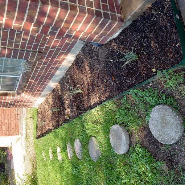 Purple Twilight Flowering Crape Myrtle Trees - Etsy