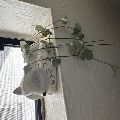 Large Abstract Face Pot Planter Vase for Succulents or Plants - Etsy