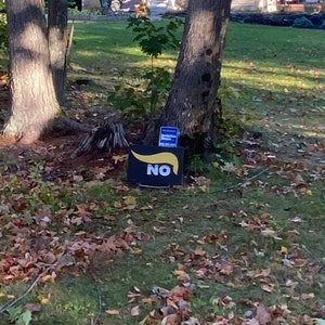 The Original No Trump Bumper Sticker - Etsy