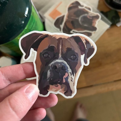 Pothos SVG File, Digital Download for Cricut, Silhouette, Etc. PDF, PNG ...