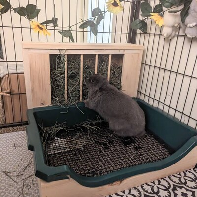 Cardboard Craft Tubes Choose Your Amount Thick Sturdy Multi Use Tubes ...