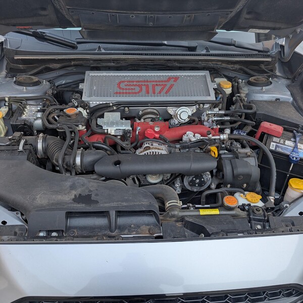 Intercooler Guard/protector Black W/alpine White, 08-21 Subaru WRX Sti ...