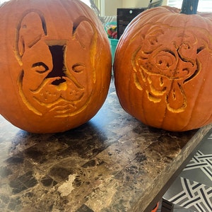 Printable Pumpkin Carving Pattern: Pit Bull, American Bulldog, Happy ...