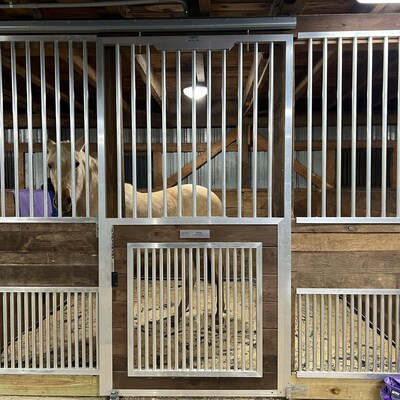 Stall Name Plate Slider Set Aluminum Plates - Etsy