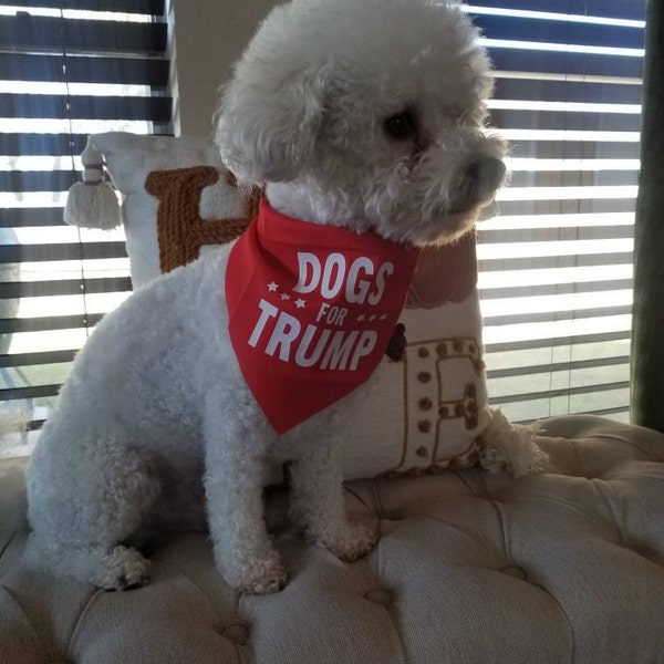 You’ve Been Boozed Wine Tote, Halloween Booze Gift Bags, Favor Treat ...