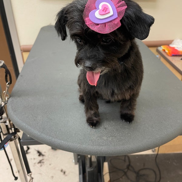 Plain DOG BOWS, Tulle Dog Bows, Grooming Dog Topknot Bows - Etsy