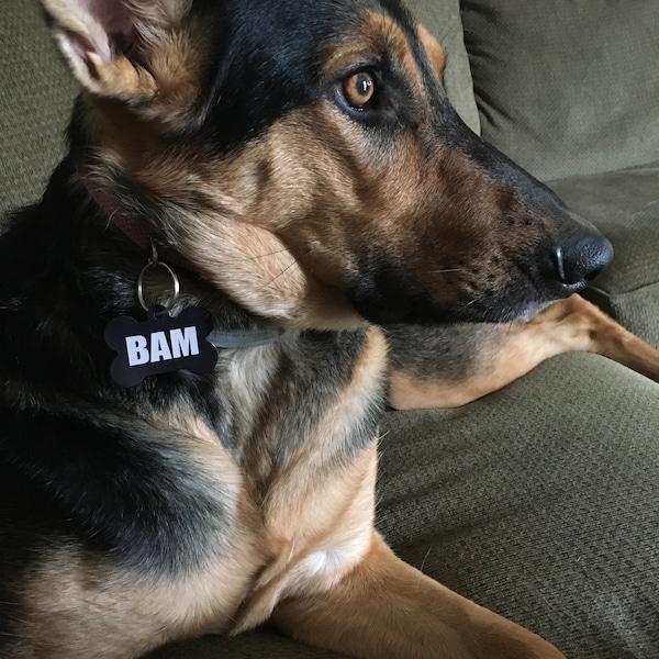 Personalized XL Metal Dog Bone Tag - Color Engraved for Large Dogs - Etsy
