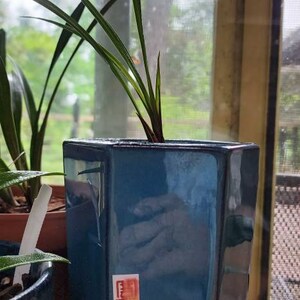 China Yixing Zisha Handmade Tea Pet Aloof Panda 呆呆的熊猫 Home - Etsy