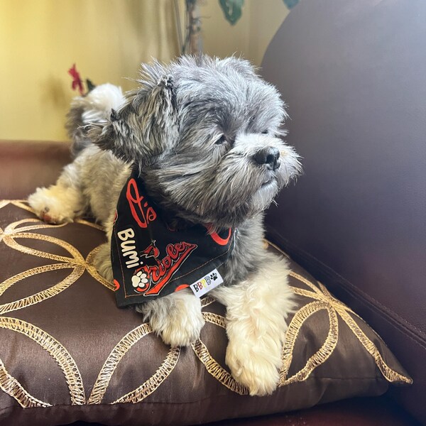 Cincinnati Reds Bandana / Cincinnati Reds / Dog • Cat Bandana / Pet ...