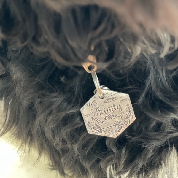 Pet ID Tag - Ocean Dog Tag - Monstera - Dog Collar Tag - Pet Name Tag ...