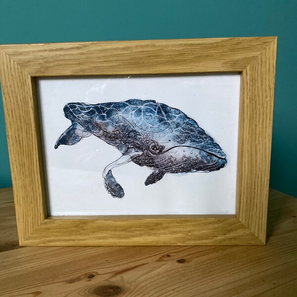 Print humpback Whale Watercolour Print Watercolour and Ink Illustration ...