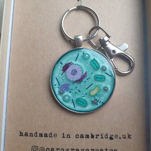 Plant Cell Key Chain Key Ring Cell Biology Biology Gift - Etsy