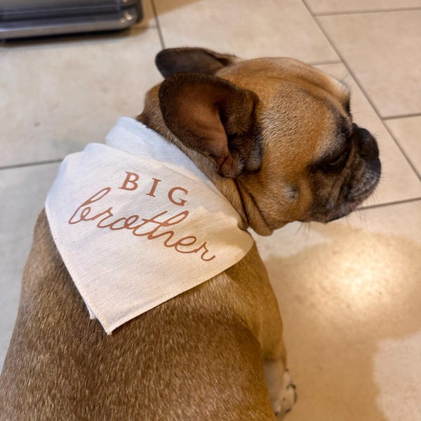 The Big ONE Shirt, Surfer Themed Party, Wave, First Birthday, Bday Boy ...