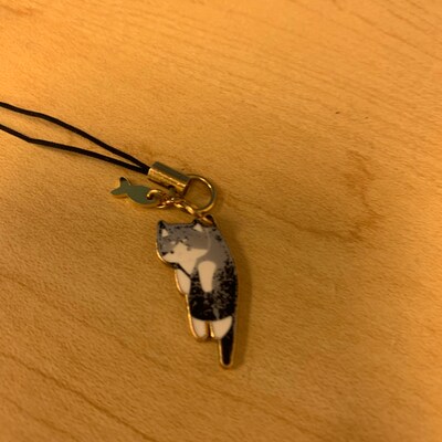 Cell Phone Charm Dust Plug Keychain Zipper Pull 3.5mm Audio Jack, Clip ...