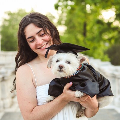 Kentucky Derby Dog Dress Kentucky Derby Dog Outfit Girl Dog - Etsy