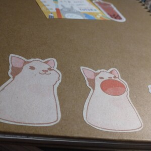 Pop Cat 2 Pack - Etsy