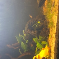 Soundrise PRO-5 Sound Absorbing Speaker Riser Stands Aluminum Bookshelf ...