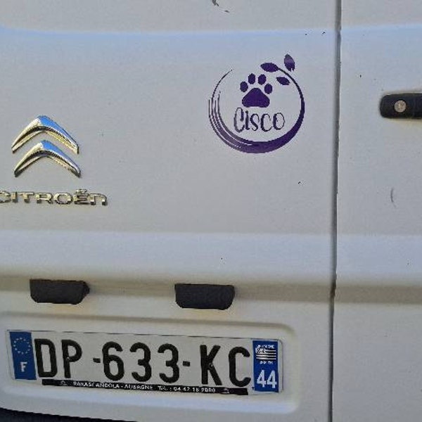 Car Sticker | Boy | Middle Finger | Side Window | Rear Window | Middle ...