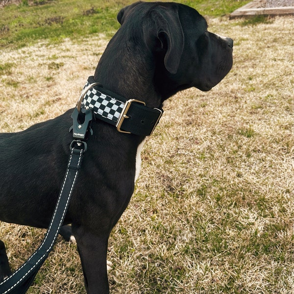 Dog Sledding Bikjoring Skijoring Canicross Scootering Harness Urban ...