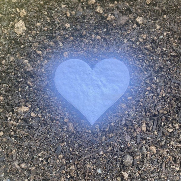 Flower Seed Paper Memorial Cards - in Loving Memory Plantable Paper ...