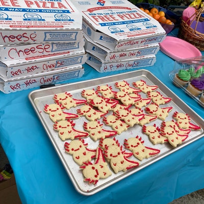Cute Axlotl Cookie Cutter, Axolotl Gifts, Fondant Clay Cutter, Gift for ...
