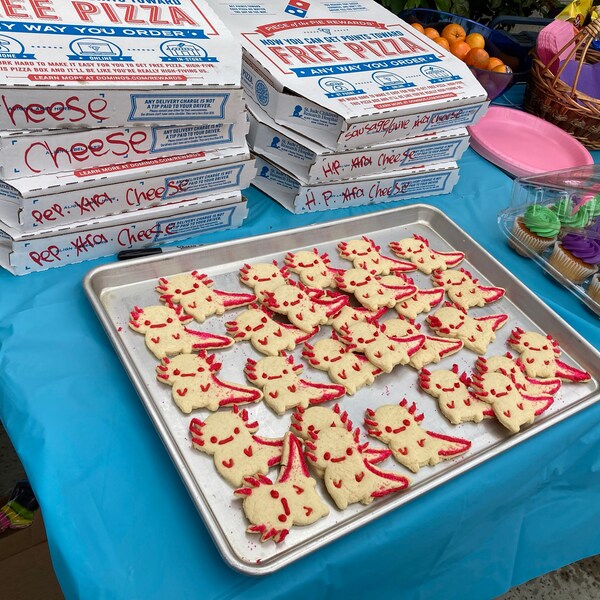 Cute Axlotl Cookie Cutter, Axolotl Gifts, Fondant Clay Cutter, Gift for ...