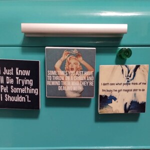 Funny Magnet Retro Humor Magnet Sarcastic Magnet Funny Fridge Magnet ...
