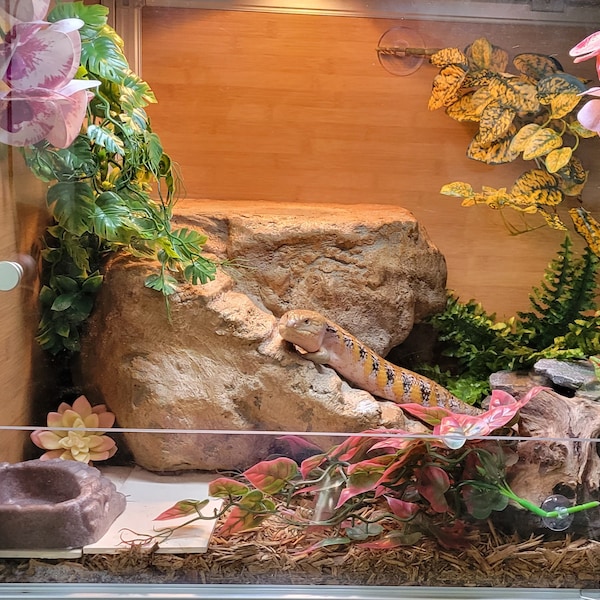 Custom Large Reptile Bearded Dragon Basking Platform, MADE TO ORDER ...