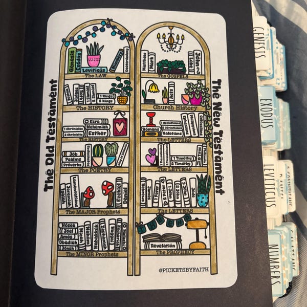 Girl Drink Your Water Sticker - Etsy