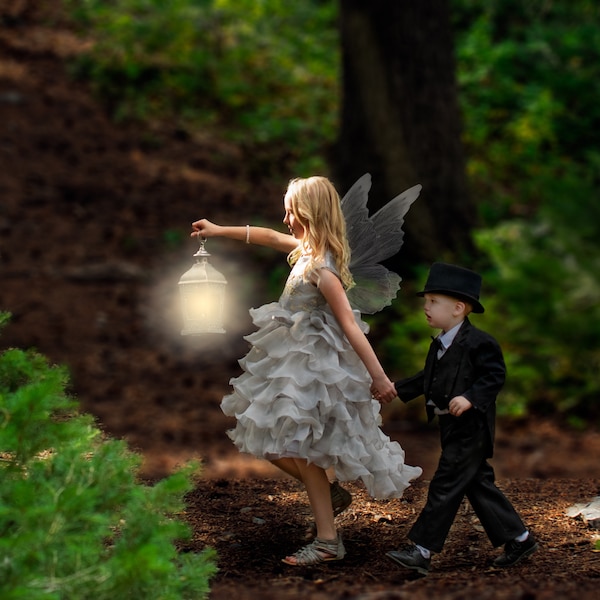 Designer Gems Overlays Angel-fairy Wings 3 Photoshop .png Files ...