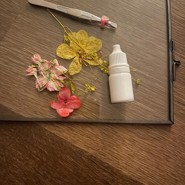 DIY Pressed Flower Frame Art Kit: Make Your Own Herbarium Art Floating ...