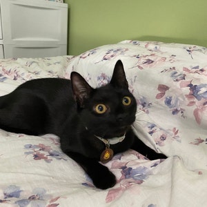 Binx is My Boo SVG - Etsy