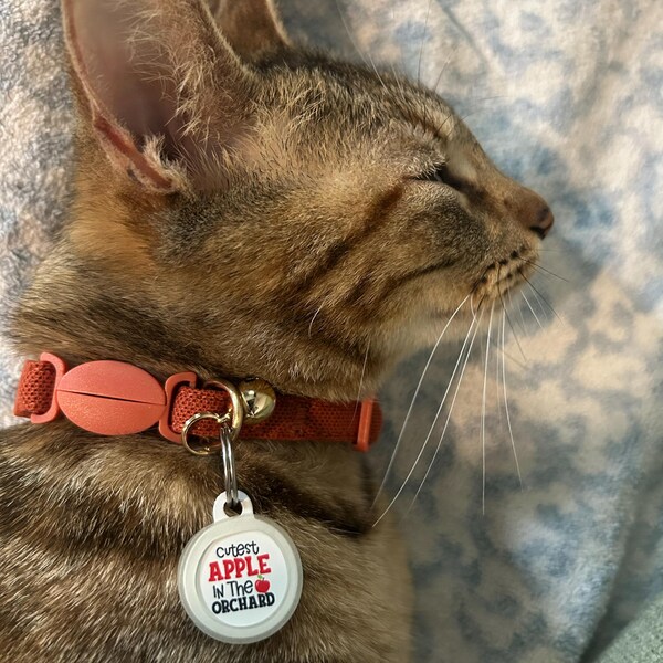 Custom Emotional Support Animal ID Tag, Personalized ESA Badge for Dogs ...