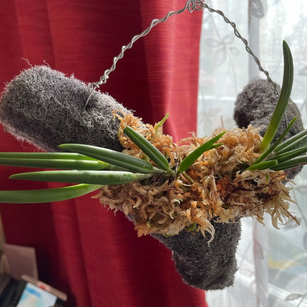 Epiweb Branch - Small (25cm) - Etsy