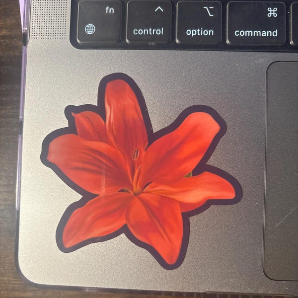 Lily Flower Illustrated Original Vinyl Sticker - Etsy