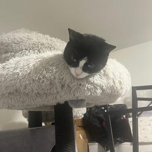 SAFE Act MLO Exam Study Notes: NMLS Cheatsheet (digital Download) - Etsy