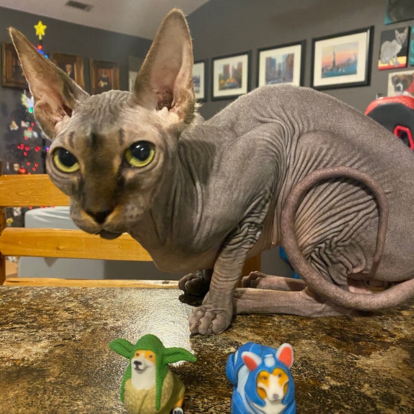 Thorgi the Corgi God of Thunder - Etsy