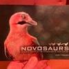 NOVOSAURS Book - Etsy UK