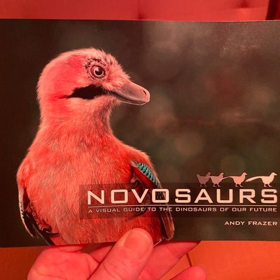 NOVOSAURS Book - Etsy