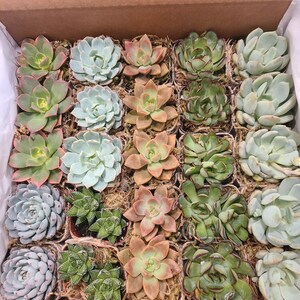 Congrats Gift Box for Her Way to Go Gift for Best Friend - Etsy