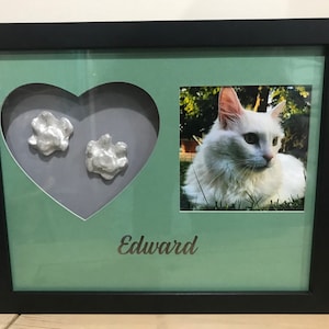 Pet Casting, Paw Cast, Paw Print, DIY Casting Kit, Keepsake for Dog ...