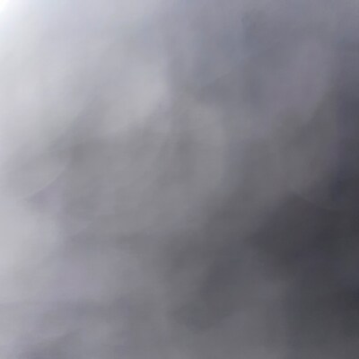 Haines Student Oboe Reed Handmade Oboe Reeds for the Best Outcomes - Etsy