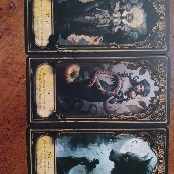 Obsidian Veil Oracle Card Deck: Antique Shadow Work, Feminine Deities ...